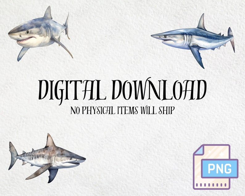 Shark Watercolor Clipart Bundle, Shark PNG, Whale Sharks, Great White ...