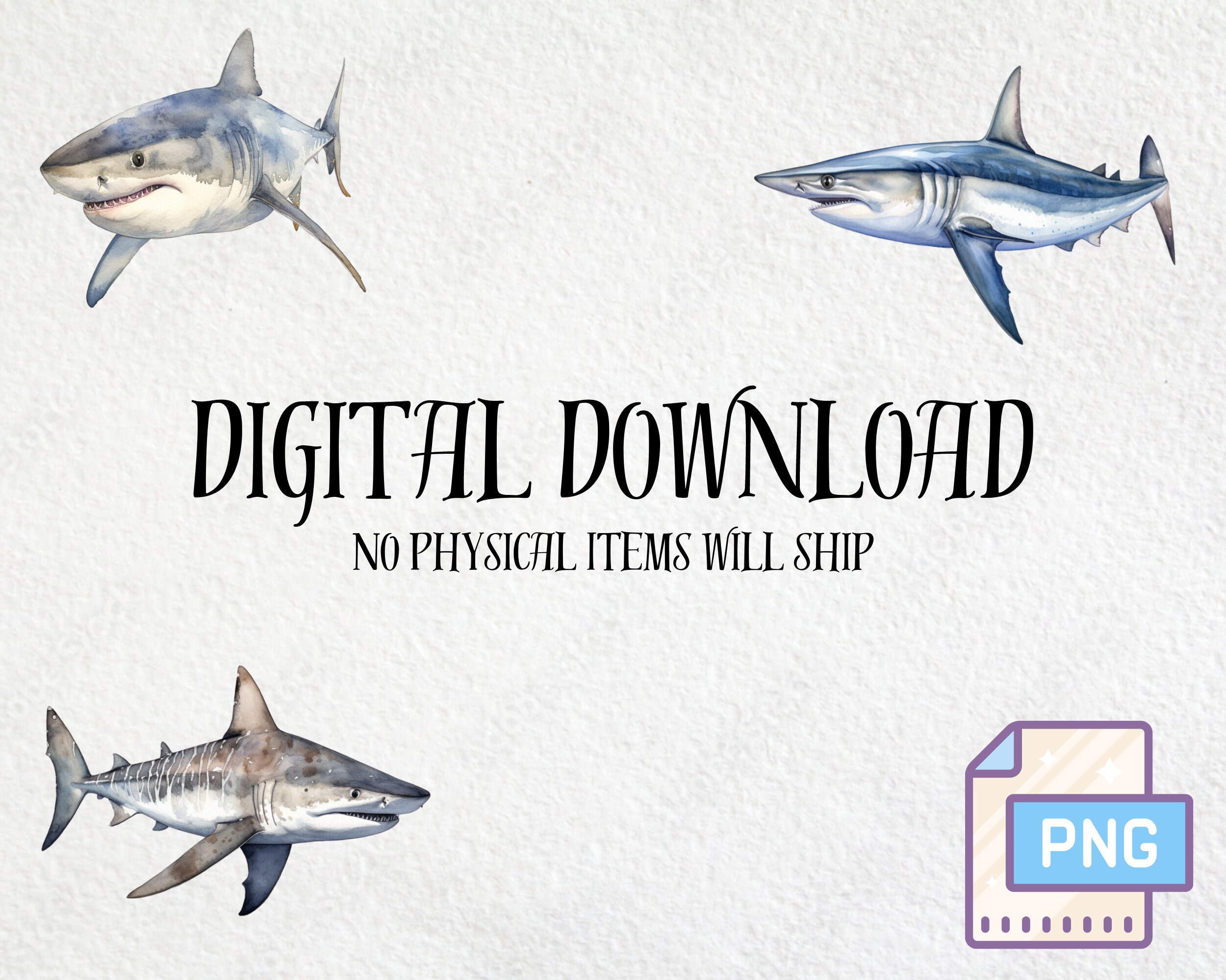 Shark Watercolor Clipart Bundle Shark PNG Whale Sharks - Etsy