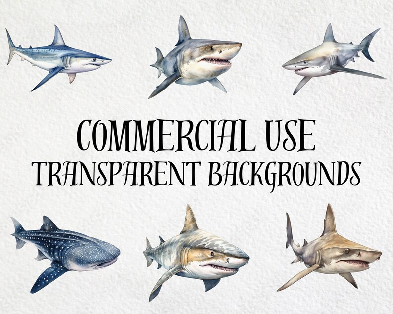Shark Watercolor Clipart Bundle, Shark PNG, Whale Sharks, Great White ...