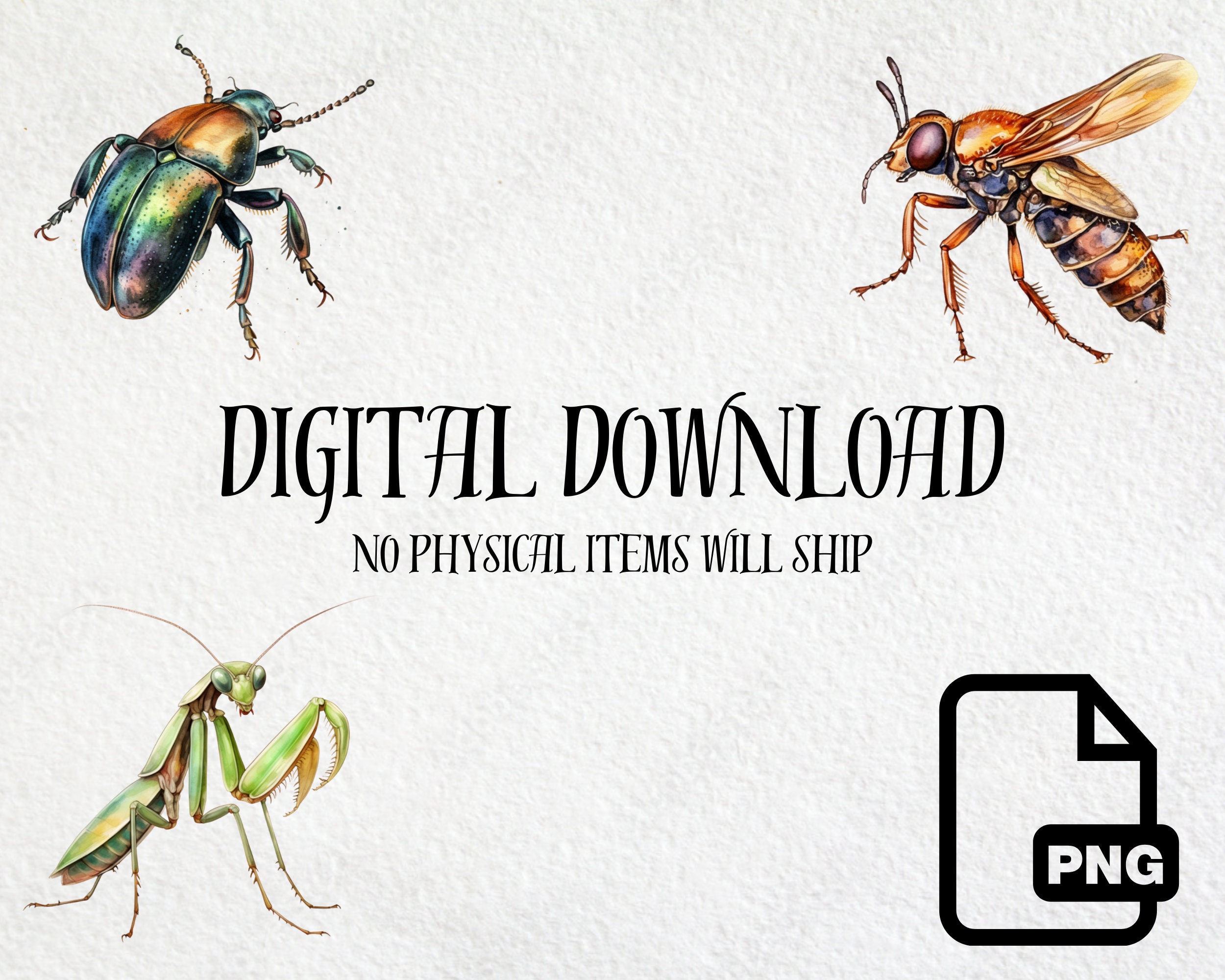 Watercolor Insect Clipart Bundle Insect PNG Watercolor - Etsy