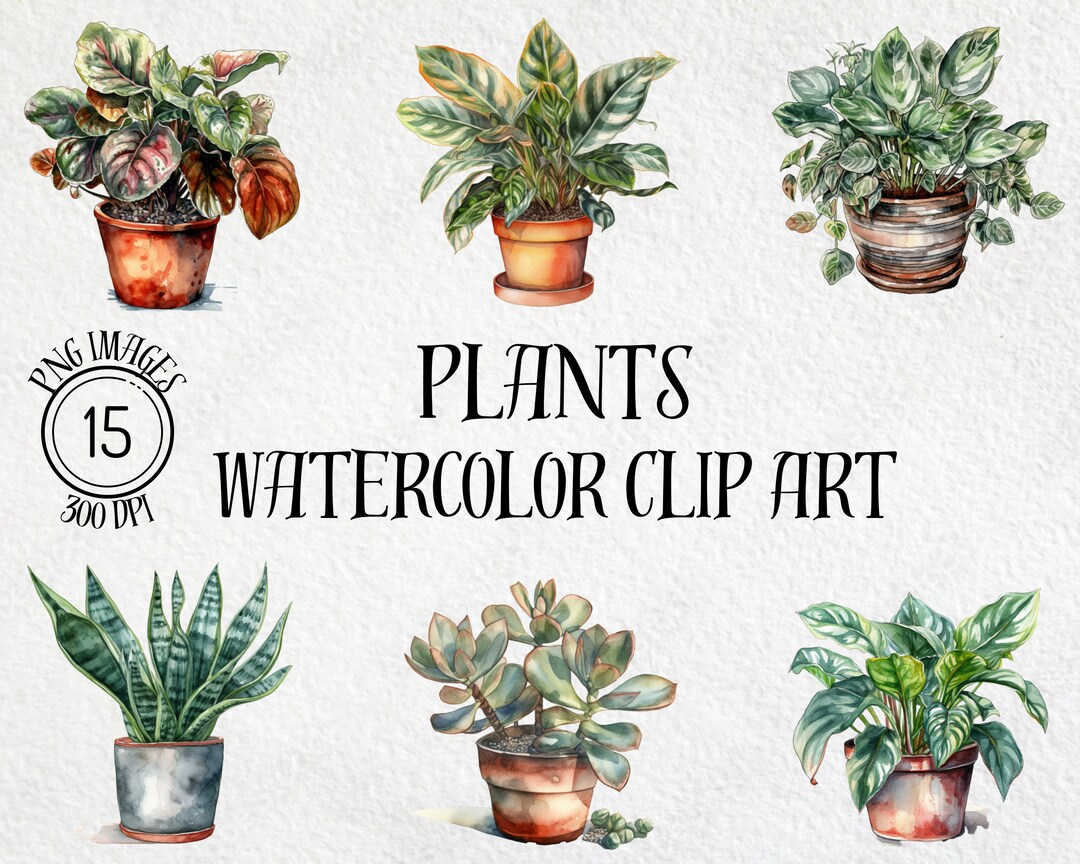 Watercolor House Plants Clipart Bundle, Botanical PNG (digital Download ...