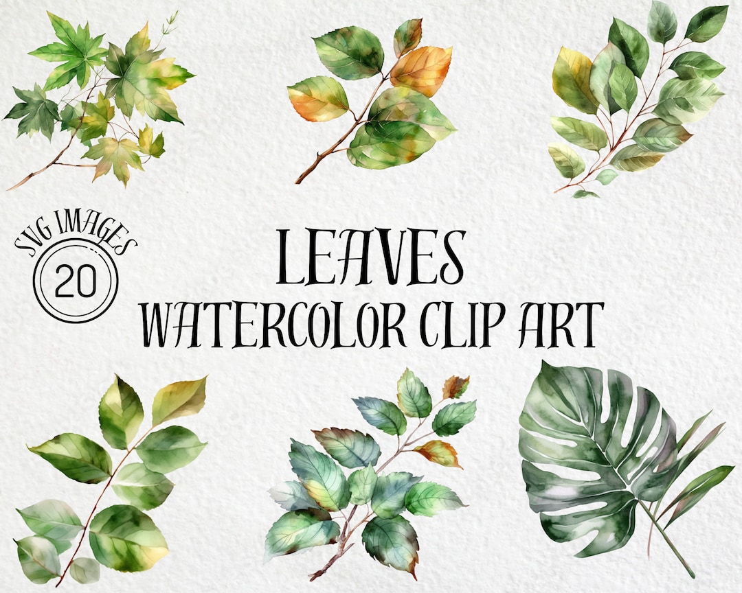 Watercolor Leaves Clipart Bundle, Botanical Greenery SVG (digital ...