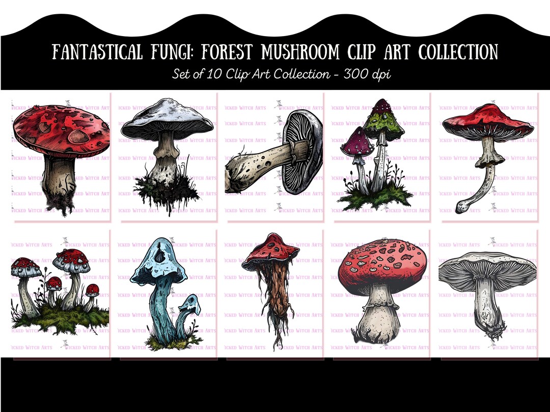 Fantastical Fungi: Forest Mushroom Clip Art Collection, Set of 10 ...