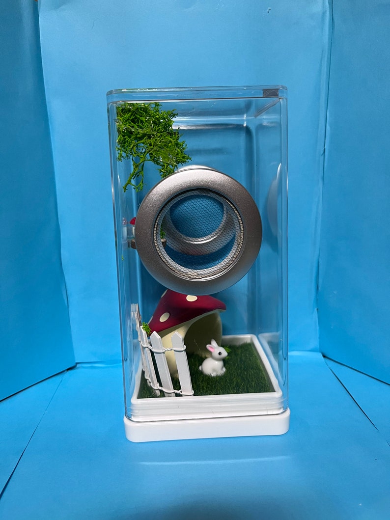 Mushroom Jumping Spider Cage - Etsy