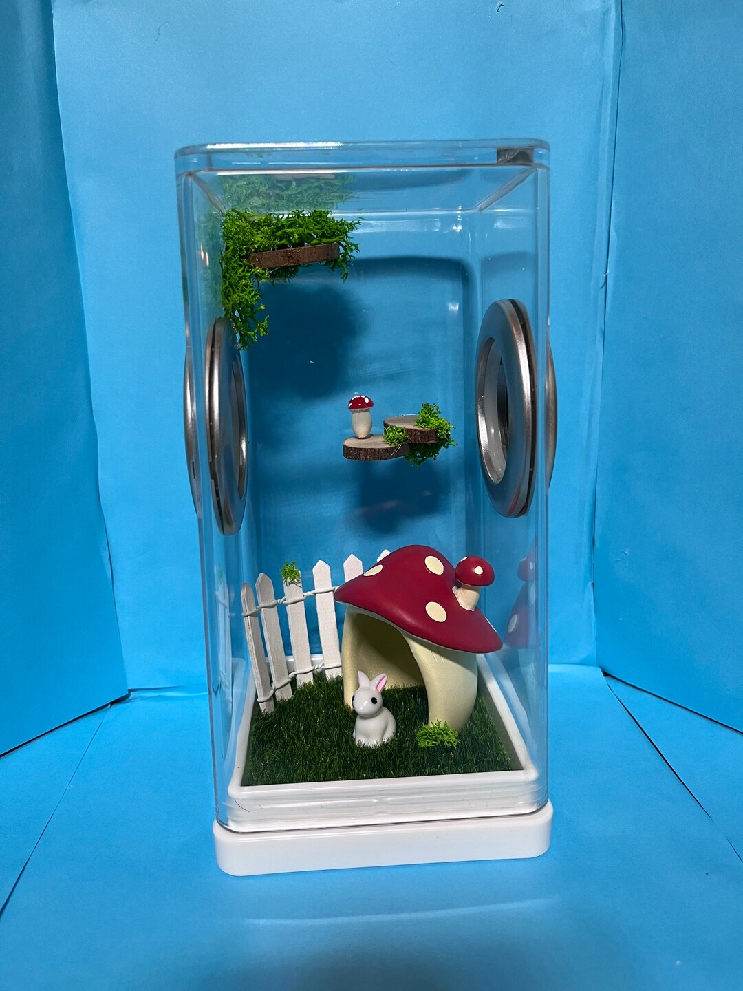 Mushroom Jumping Spider Cage - Etsy