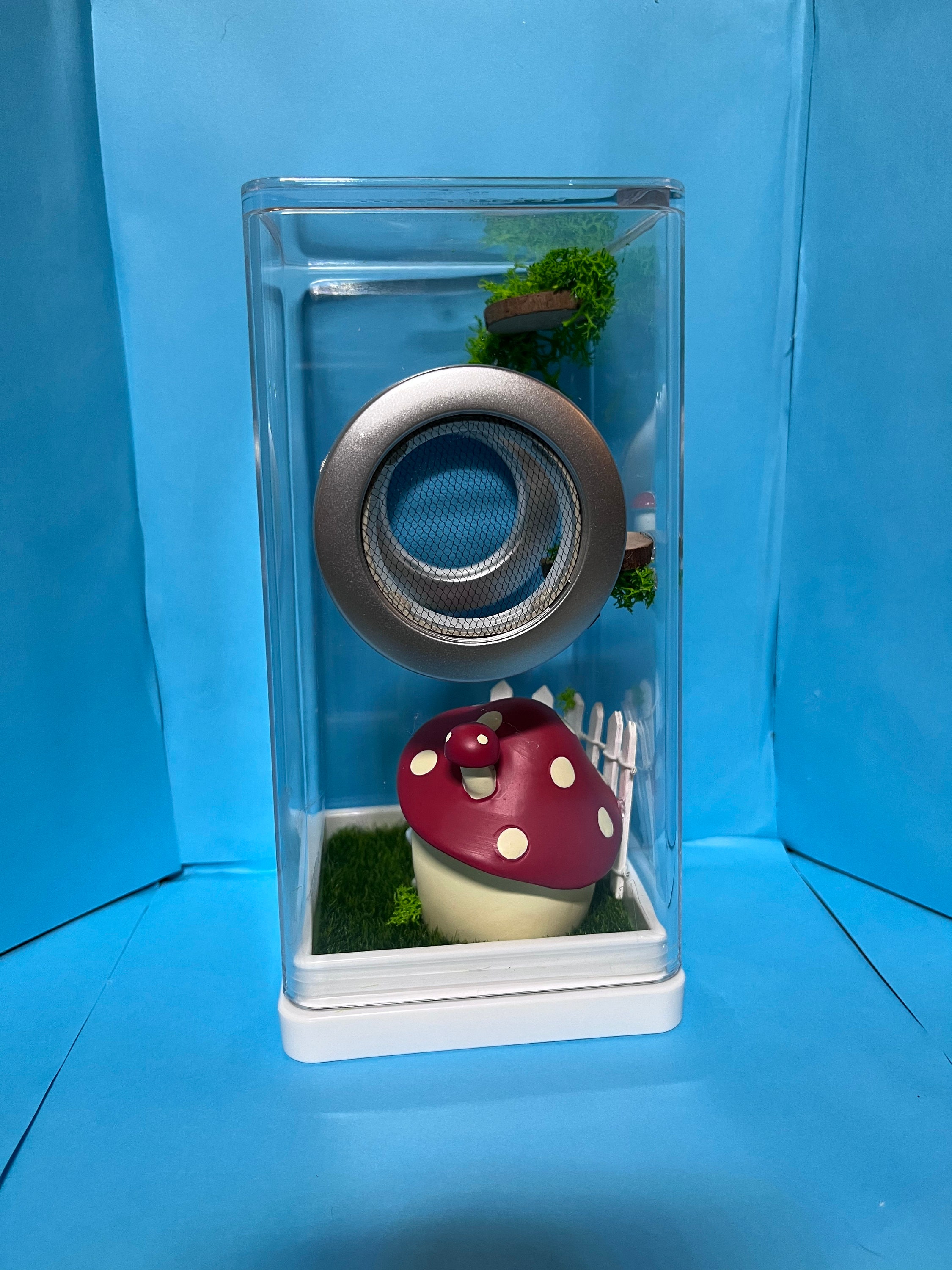 Mushroom Jumping Spider Cage - Etsy