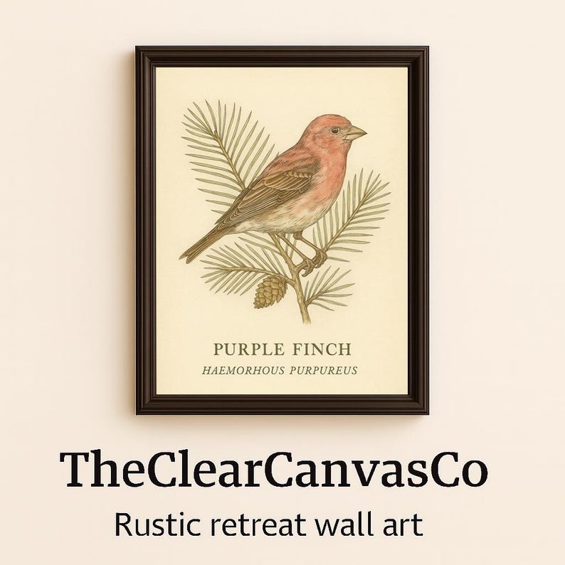 Purple Finch Bird Wall Art Print, Vintage Nature Illustration Poster ...