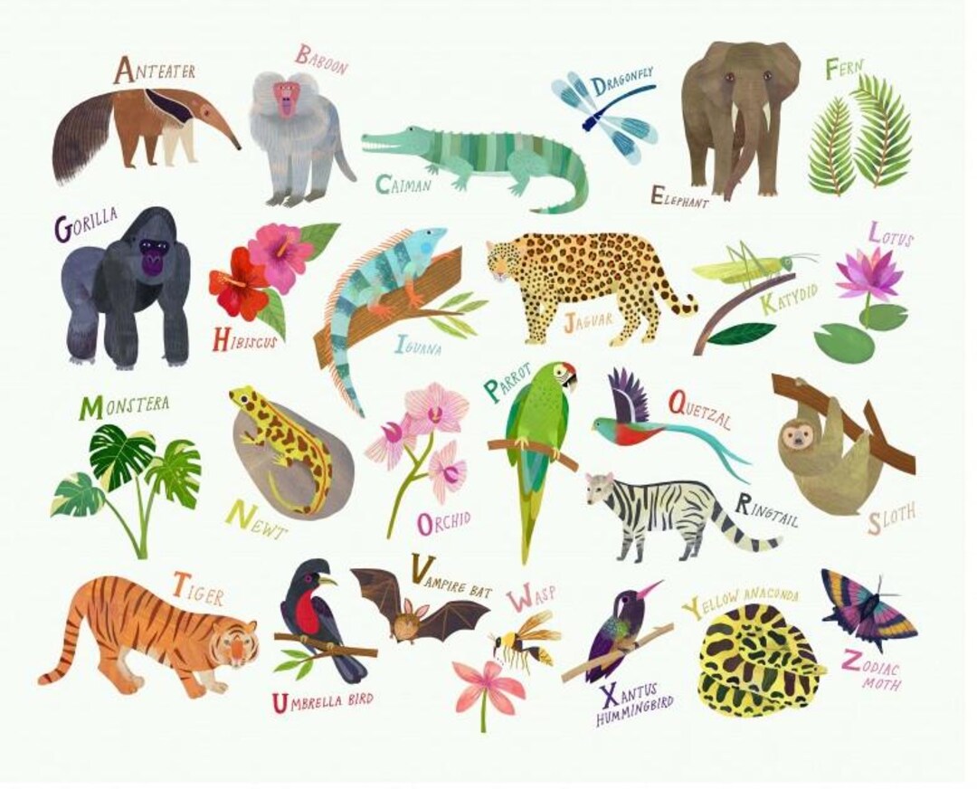 Jungle Alphabet - 1 Yard Panel - Continuous Panels Available. - Etsy