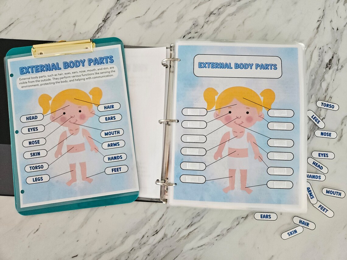 5 Senses, Human Body Anatomy Busy Book Science School Resources Anatomy ...