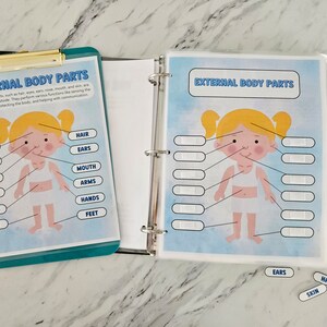 5 Senses, Human Body Anatomy Busy Book Science School Resources Anatomy ...