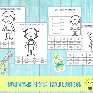 5 Senses, Human Body Anatomy Busy Book Science School Resources Anatomy ...