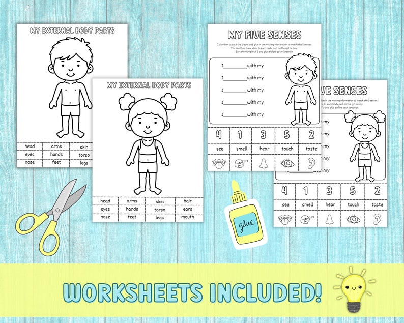 5 Senses, Human Body Anatomy Busy Book Science School Resources Anatomy ...