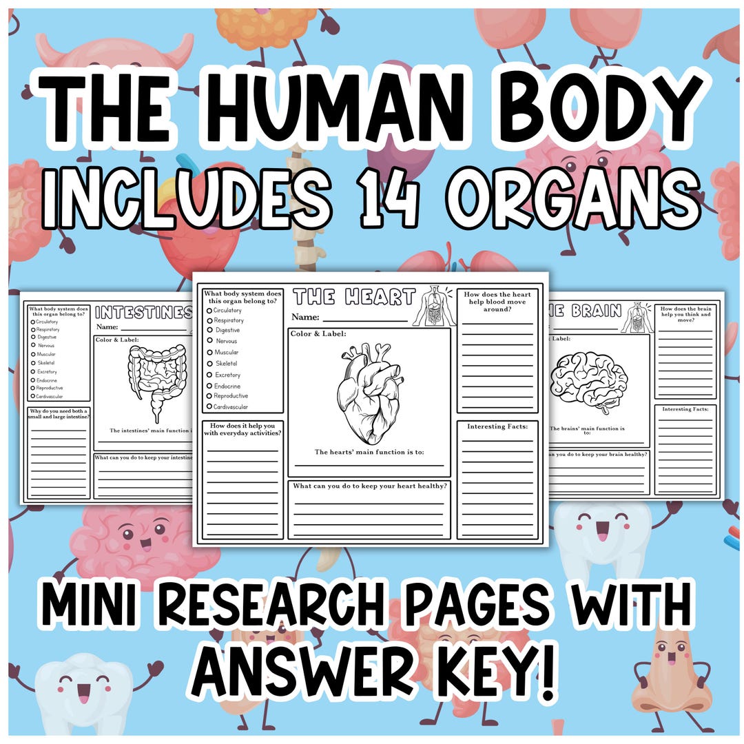 Anatomy for Kids Organ Research Studies Science School Resources ...