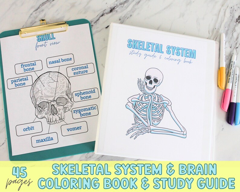 Skeletal System Structure, Printable Science Worksheets, Homeschool ...