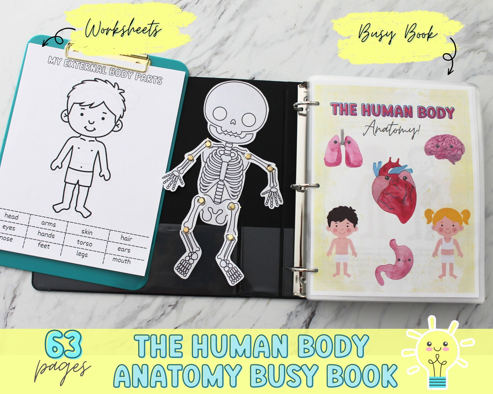 Human Body Anatomy Busy Book, Human Body Systems, Science Unit ...