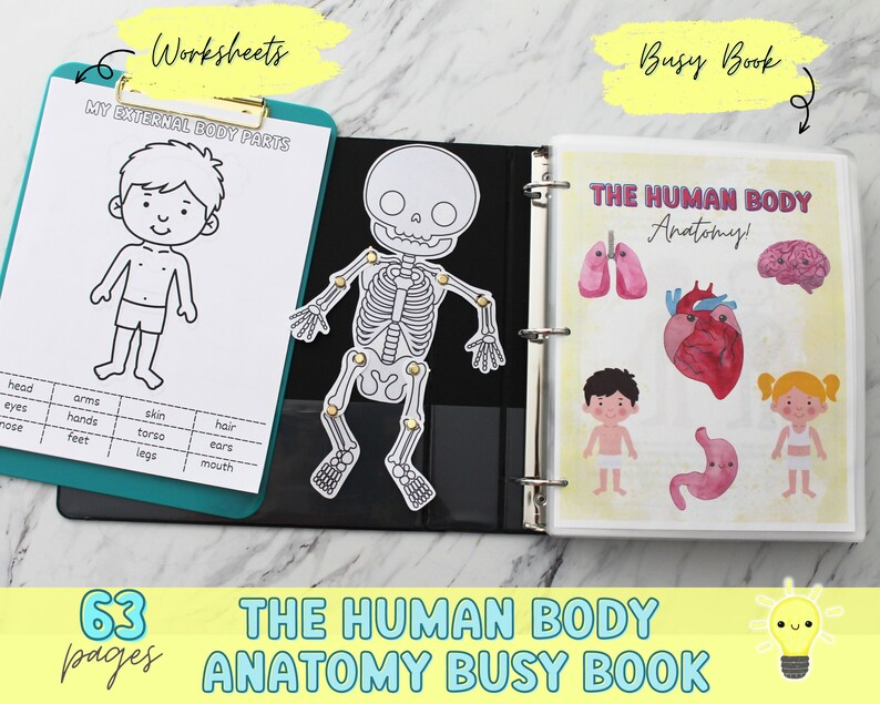 Human Body Anatomy Busy Book Human Body Systems Science - Etsy