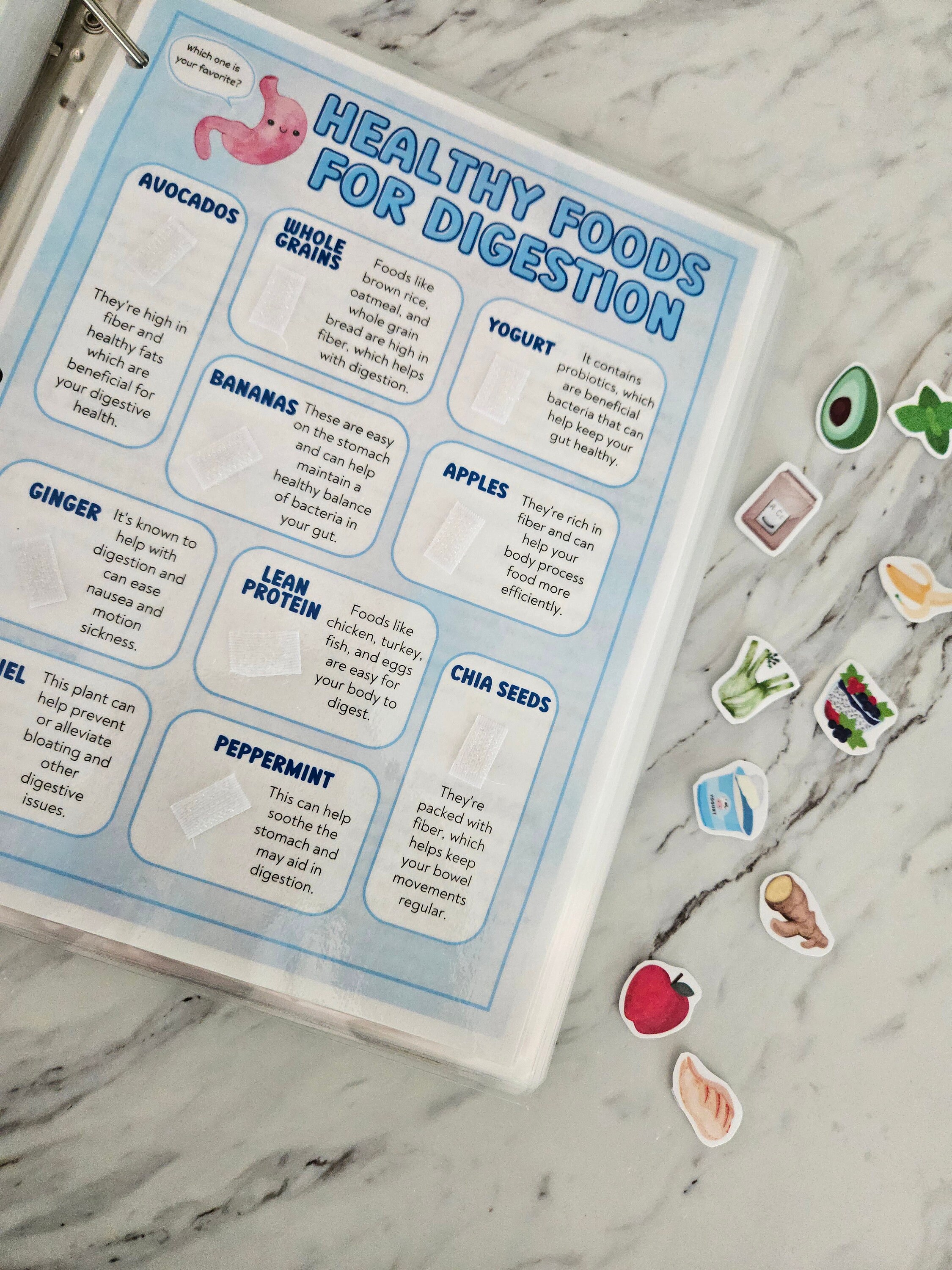 Digestive System Busy Book Human Anatomy Worksheets Science School ...