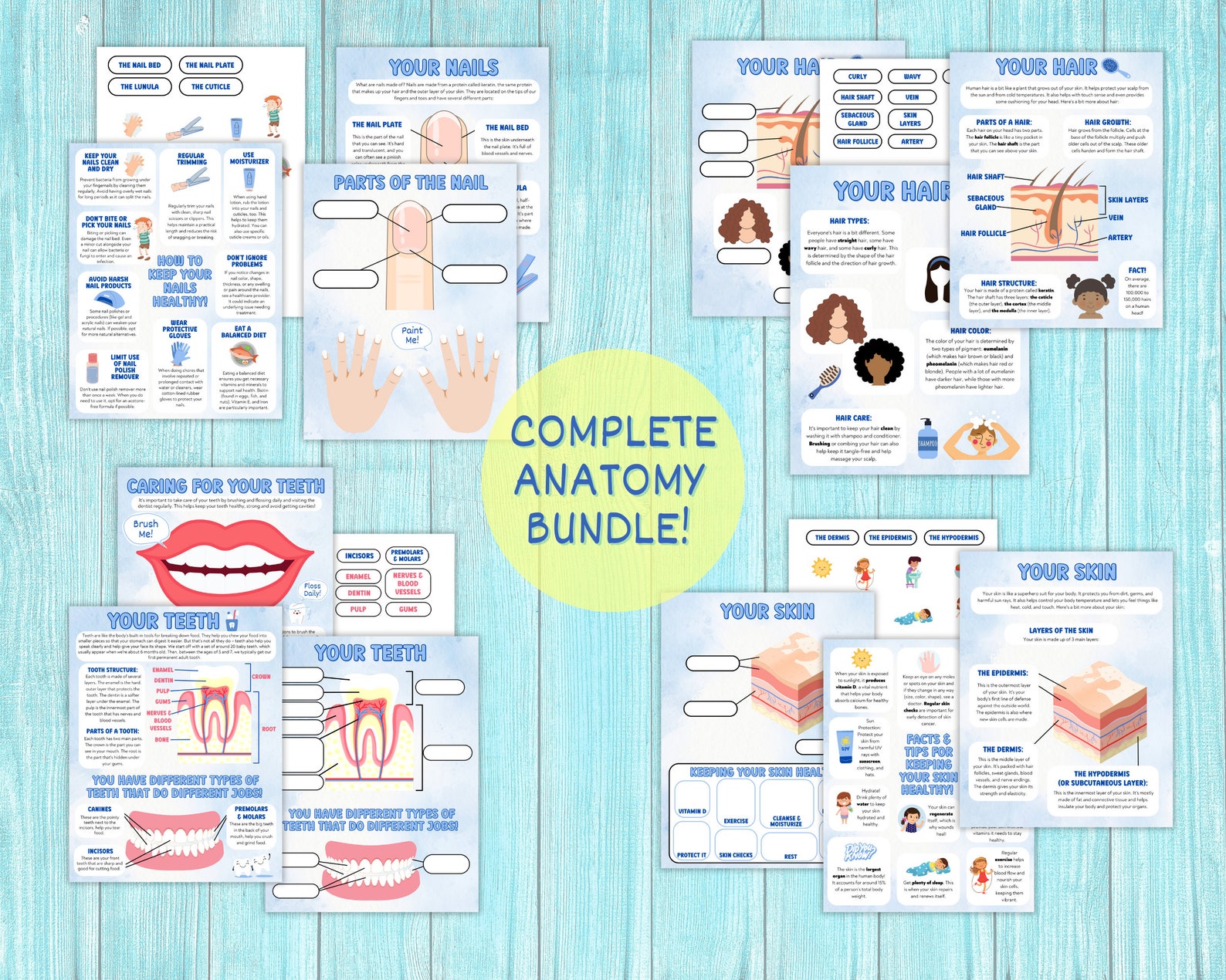 Human Body Anatomy Busy Book, Human Body Systems, Science Unit ...