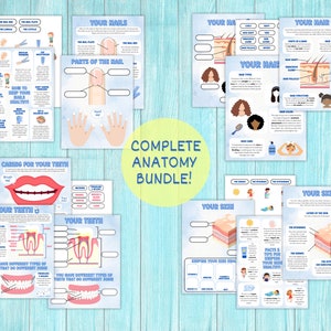 Human Body Anatomy Busy Book, Human Body Systems, Science Unit ...