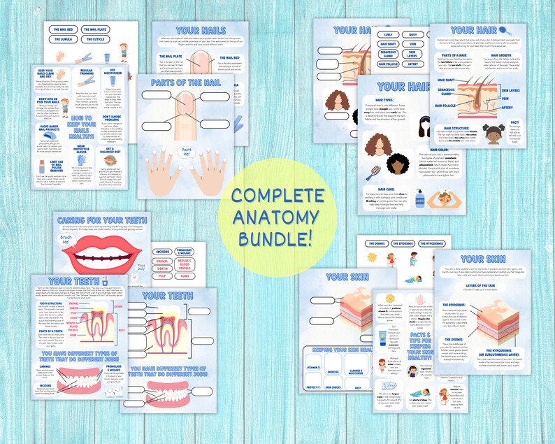 Human Body Anatomy Busy Book, Human Body Systems, Science Unit ...