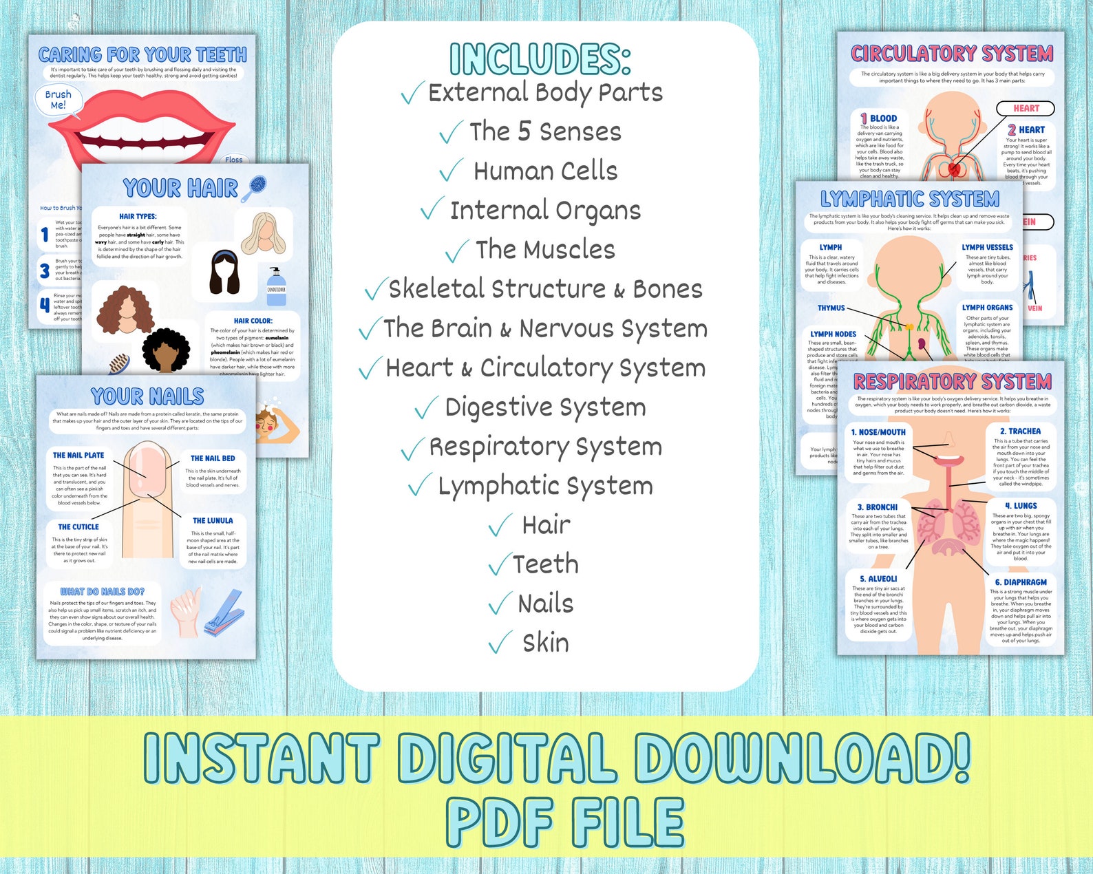 Human Body Anatomy Busy Book, Human Body Systems, Science Unit ...