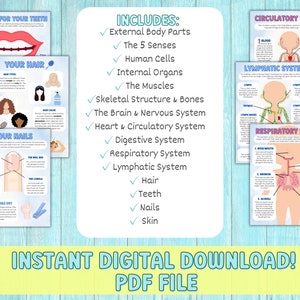 Human Body Anatomy Busy Book, Human Body Systems, Science Unit ...