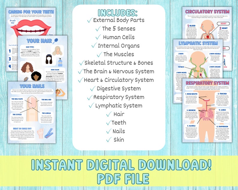 Human Body Anatomy Busy Book, Human Body Systems, Science Unit ...
