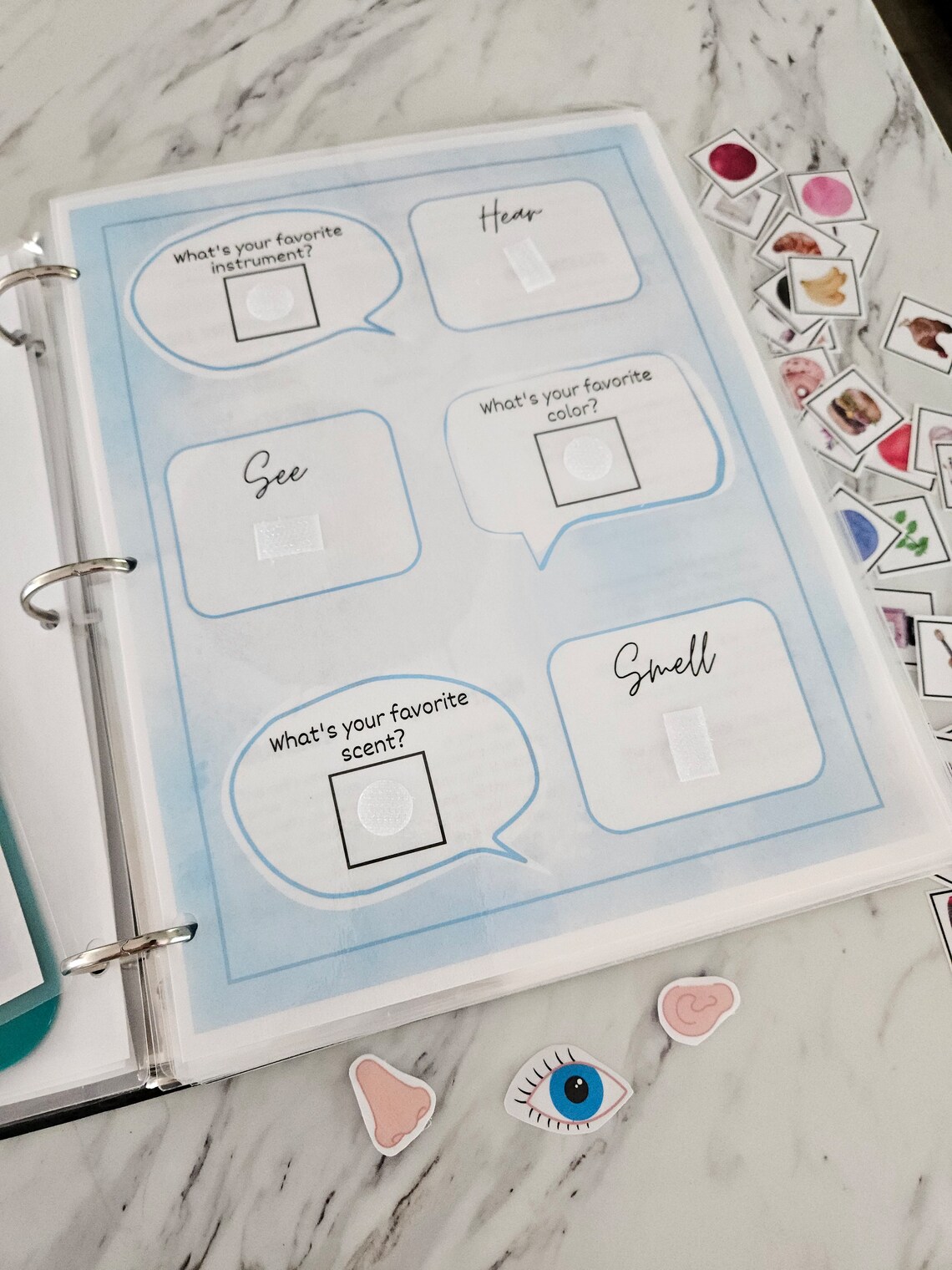 5 Senses, Human Body Anatomy Busy Book Science School Resources Anatomy ...