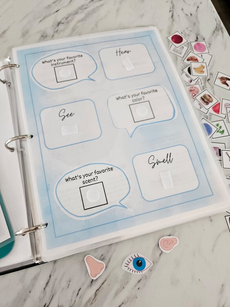 5 Senses, Human Body Anatomy Busy Book Science School Resources Anatomy ...