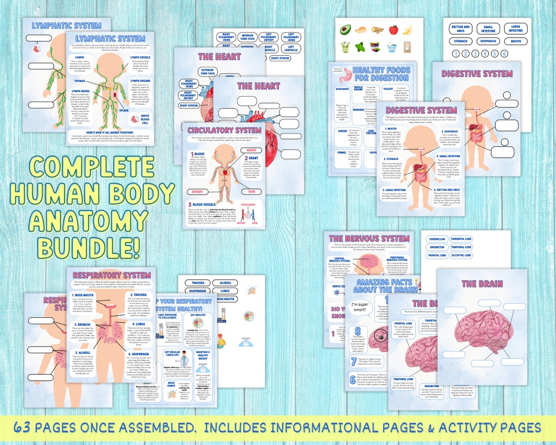 Human Body Anatomy Busy Book, Human Body Systems, Science Unit ...