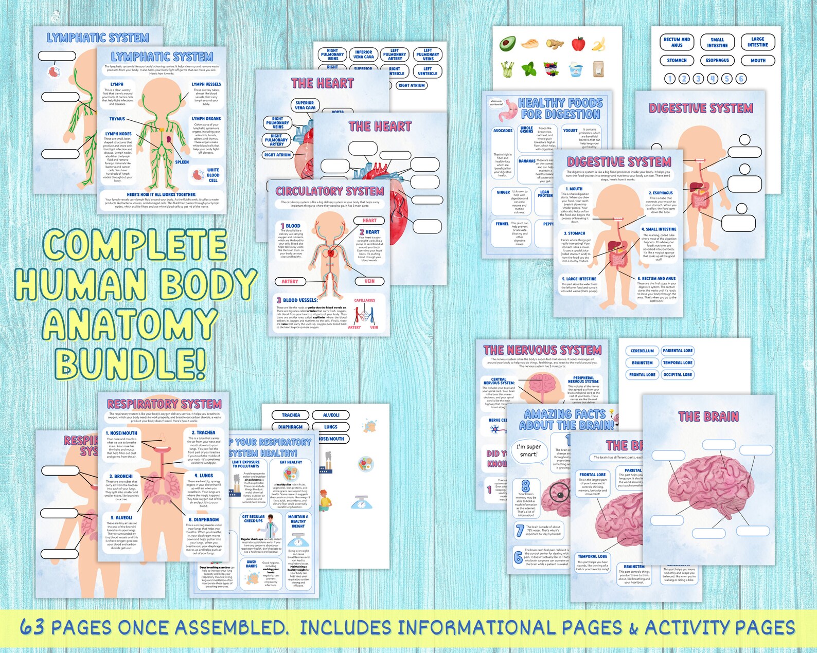 Human Body Anatomy Busy Book, Human Body Systems, Science Unit ...