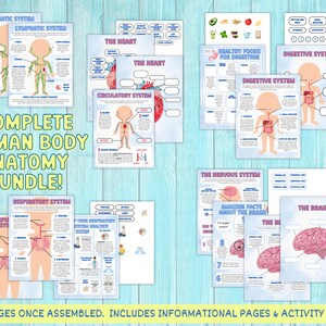 Human Body Anatomy Busy Book, Human Body Systems, Science Unit ...