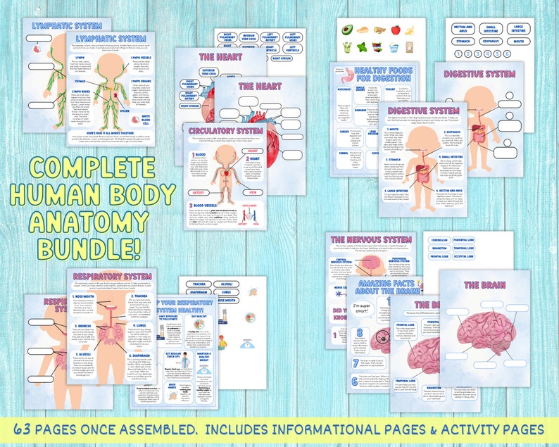 Human Body Anatomy Busy Book, Human Body Systems, Science Unit ...