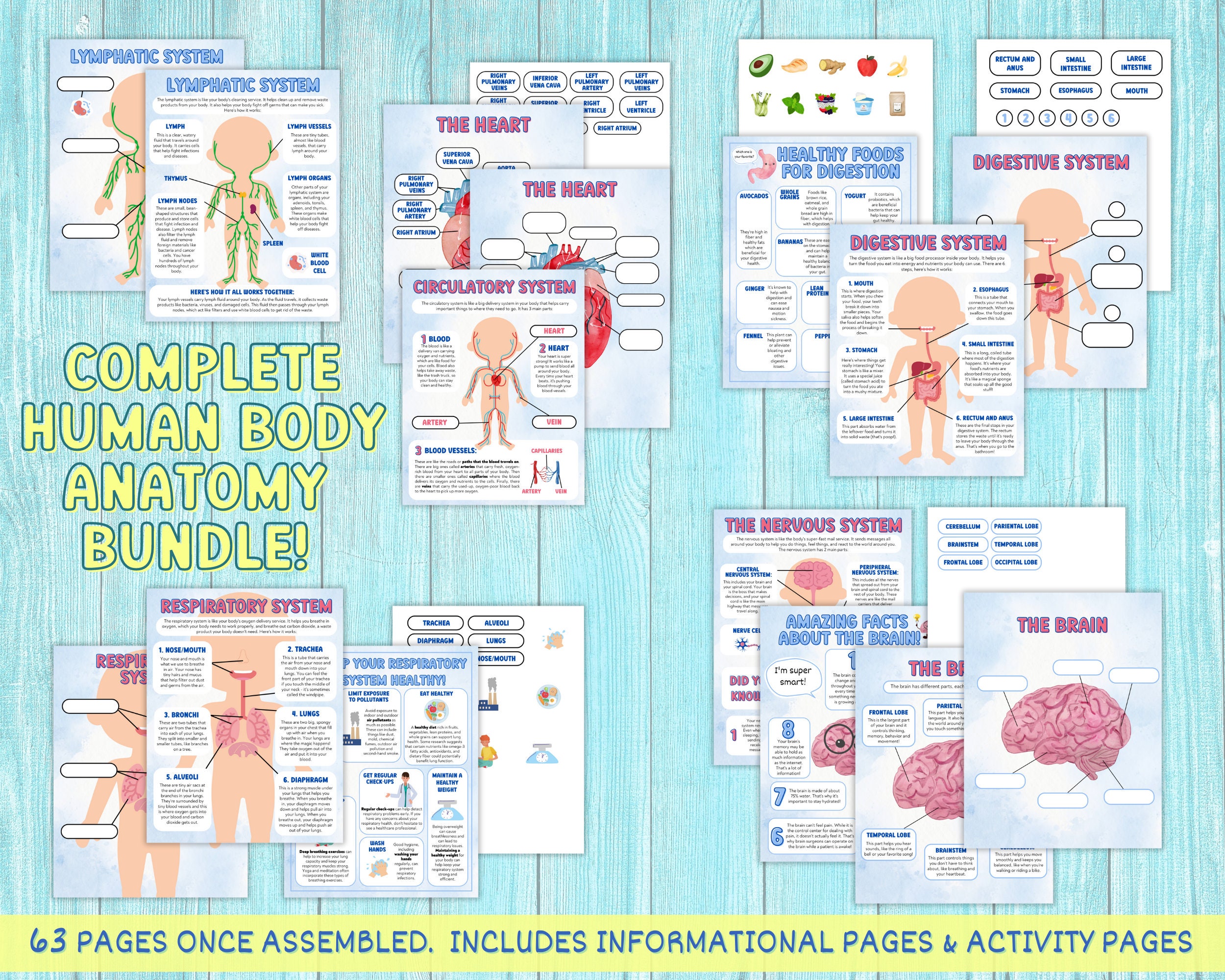 Human Body Anatomy Busy Book, Human Body Systems, Science Unit ...
