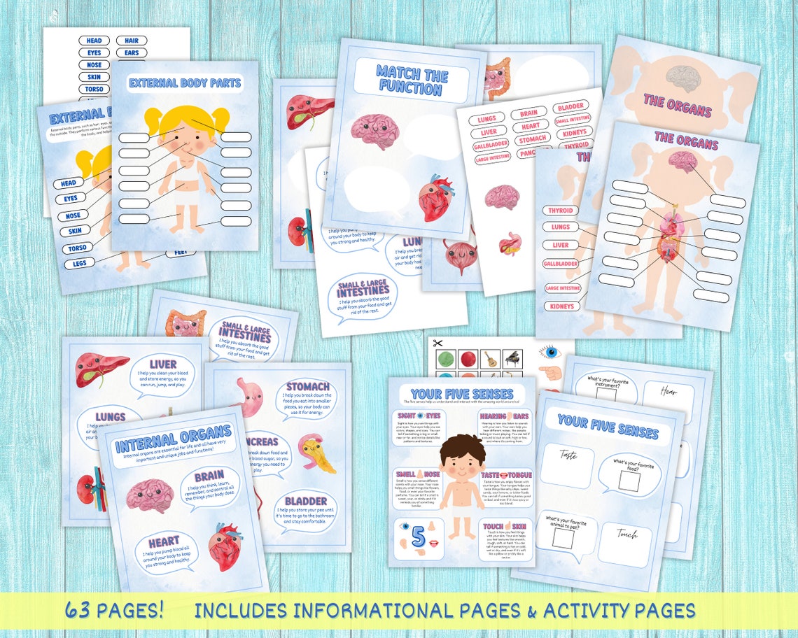 Human Body Anatomy Busy Book, Human Body Systems, Science Unit ...