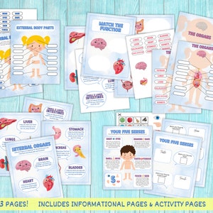 Human Body Anatomy Busy Book, Human Body Systems, Science Unit ...