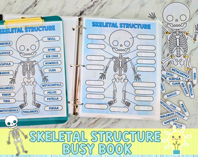 5 Senses, Human Body Anatomy Busy Book Science School Resources Anatomy ...