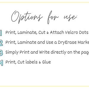 Human Body Anatomy Busy Book, Human Body Systems, Science Unit ...