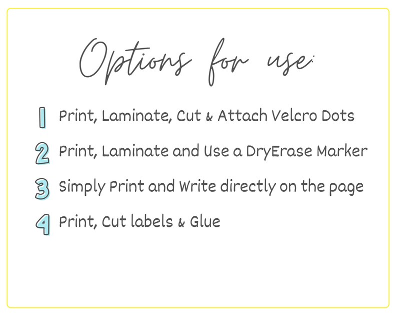 Human Body Anatomy Busy Book, Human Body Systems, Science Unit ...