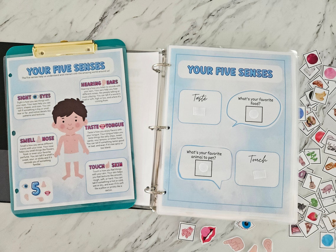 5 Senses, Human Body Anatomy Busy Book Science School Resources Anatomy ...