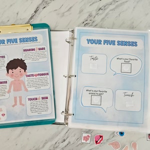 5 Senses, Human Body Anatomy Busy Book Science School Resources Anatomy ...