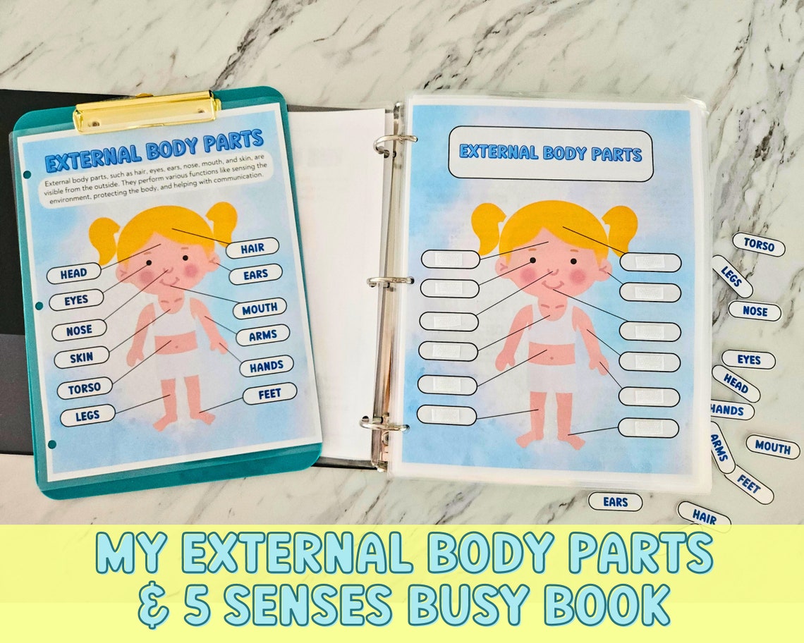 5 Senses, Human Body Anatomy Busy Book Science School Resources Anatomy ...