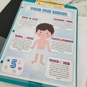 5 Senses, Human Body Anatomy Busy Book Science School Resources Anatomy ...