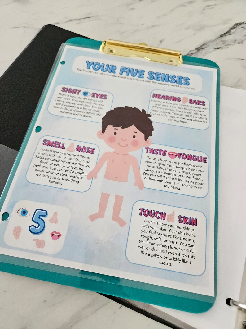 5 Senses, Human Body Anatomy Busy Book Science School Resources Anatomy ...