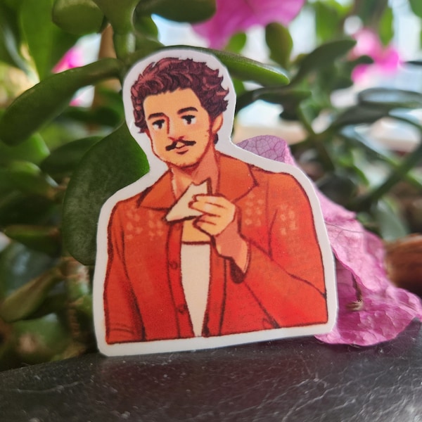 Pedro Pascal Meme Stickers - Etsy