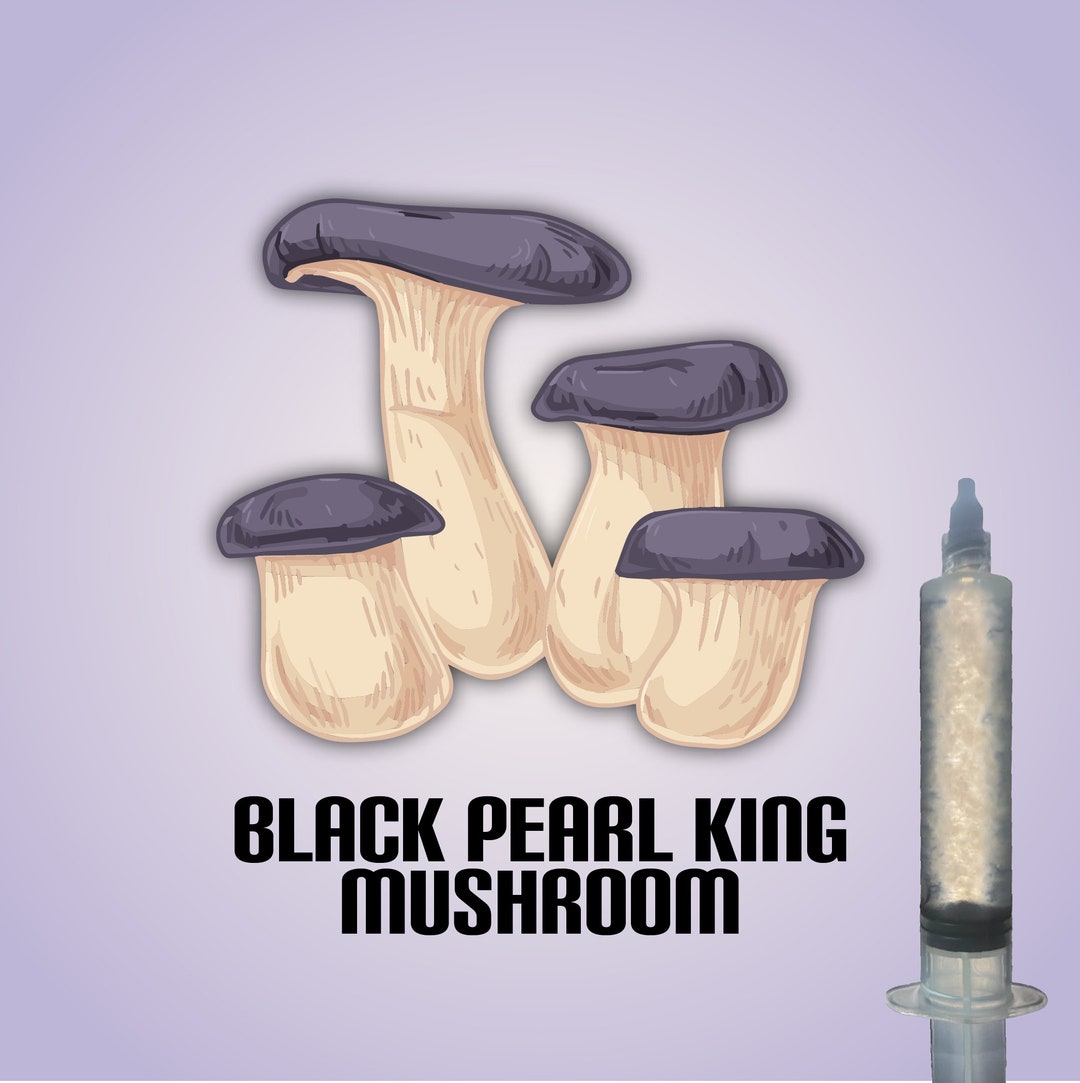 Black Pearl King Oyster Mushroom Live Liquid Culture Syringe | Pleurotus Ostreatus Hybrid - Etsy