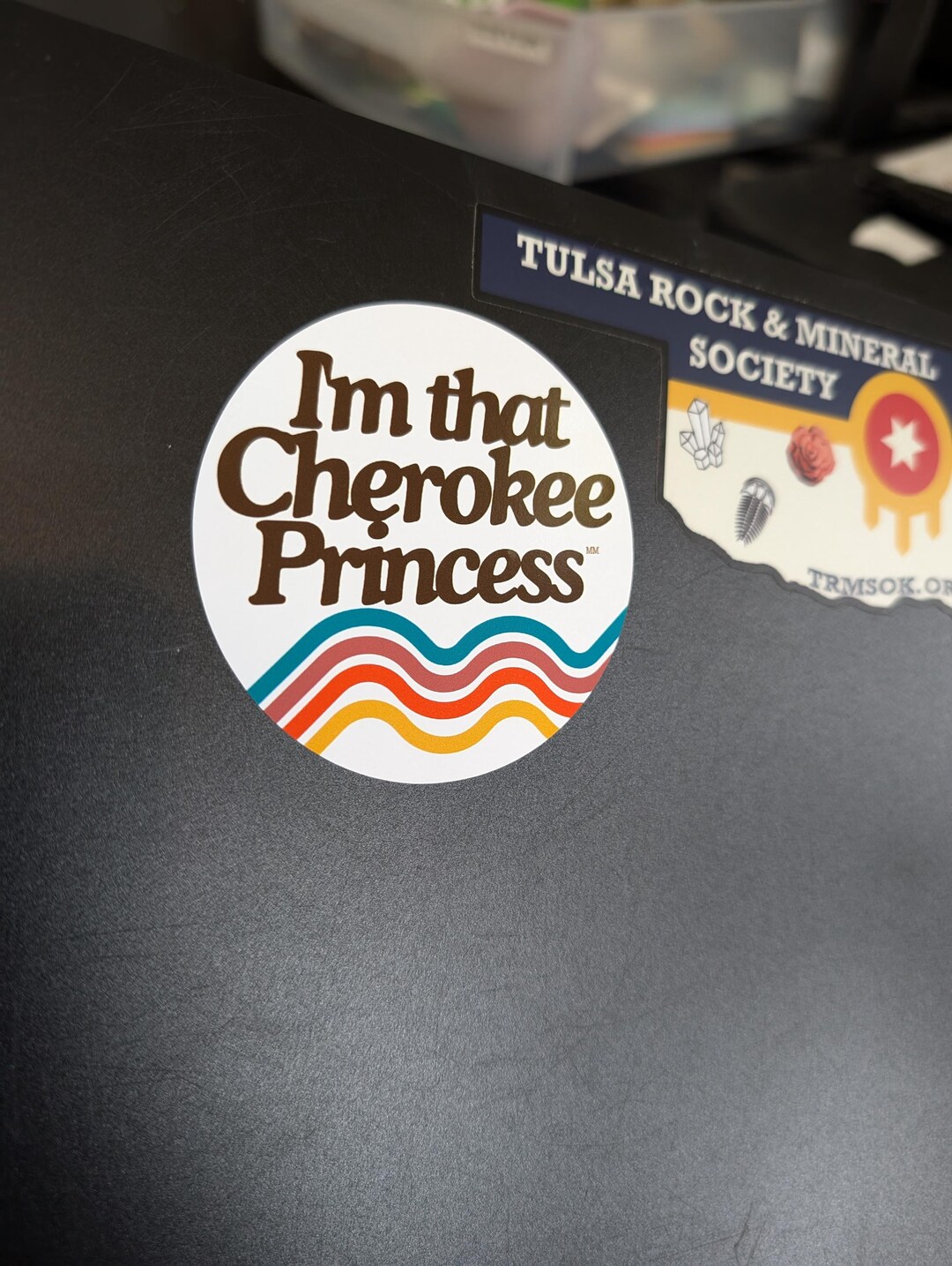 Cherokee Princess Sticker ᏅᎬᏫ ᏣᎳᎩ - Etsy