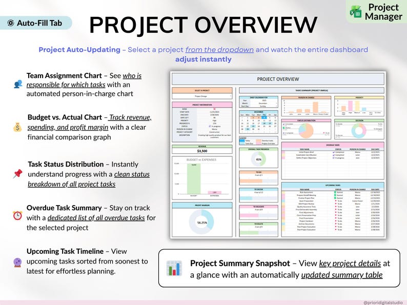 Professional Planner Bundle Project Management Excel Template Task ...