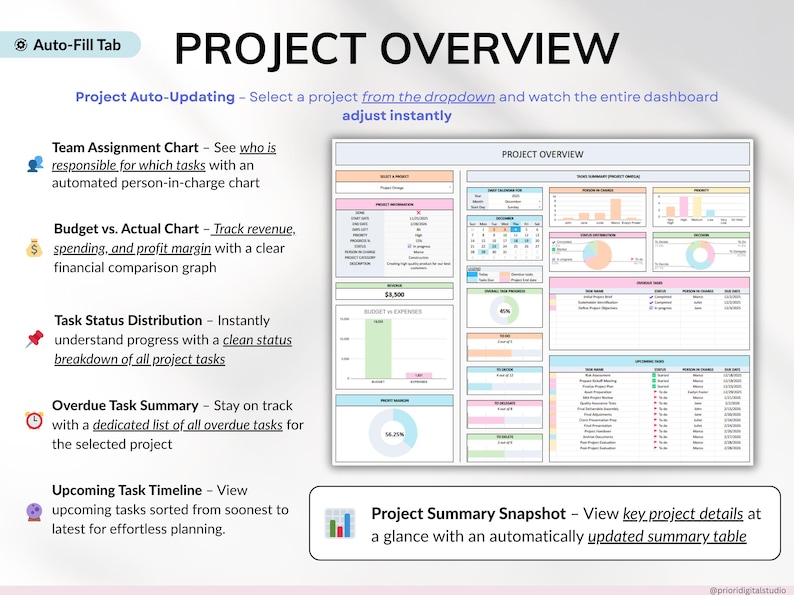 Project Management Spreadsheet Excel Team Project Task Tracker Google ...
