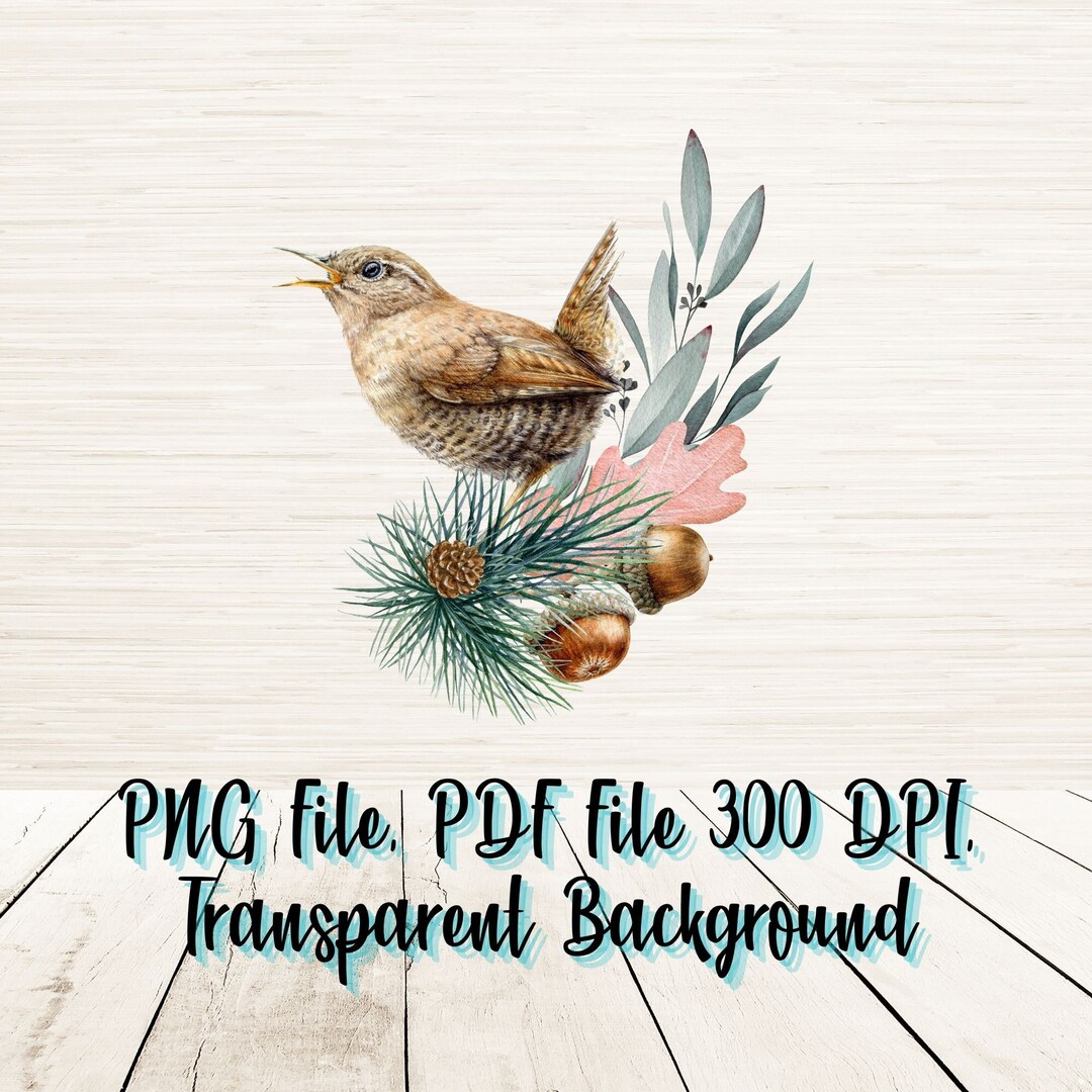 Watercolor Natural Wren PNG File | Digital Download | Nature Art ...